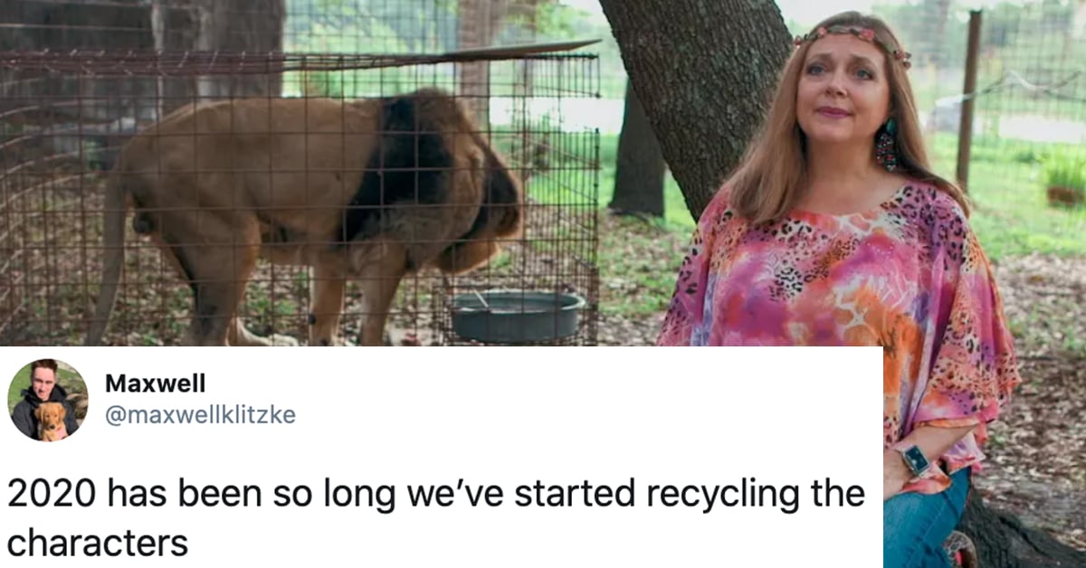 25 Of The Best Carole Baskin 'Dancing With The Stars' Memes And Tweets