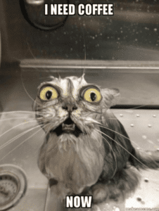 100 (MORE) Funny Coffee Memes To Add A Little Jolt To Your Day