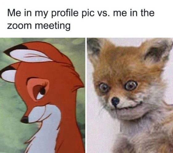 Funny Zoom Memes To Put In The Zoom Chat While Your Boss Is Talking