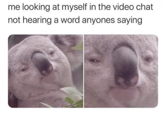 Funny Zoom Memes To Put In The Zoom Chat While Your Boss Is Talking