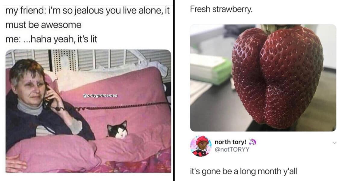 What Is A Dank Meme? Funny You Should Ask… (47 Dank Memes)