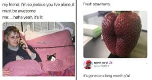 What Is A Dank Meme? Funny You Should Ask… (47 Dank Memes)