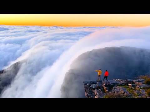 The Best Viral Internet Videos of 2020