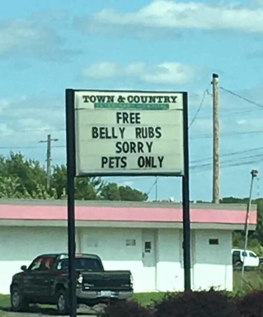 50 Funny Signs That Are Intentionally Or Unintentionally Hilarious