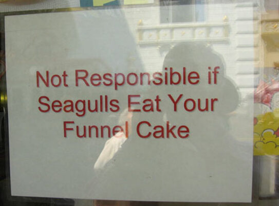 50 Funny Signs That Are Intentionally Or Unintentionally Hilarious