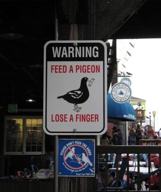 50 Funny Signs That Are Intentionally Or Unintentionally Hilarious