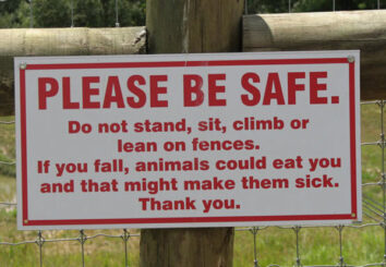 50 Funny Signs That Are Intentionally Or Unintentionally Hilarious ...