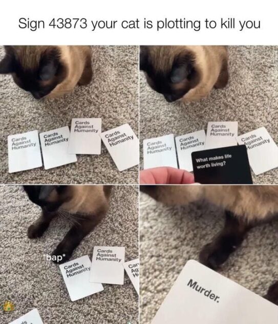 Morning Meme Dump (25 Memes)