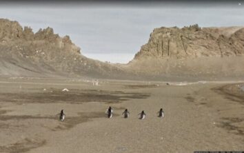 40+ Awkward And Unexpected Moments Captured On Google Street View
