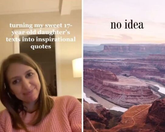 People Are Turning Negative Internet Comments Into Funny Fake ...