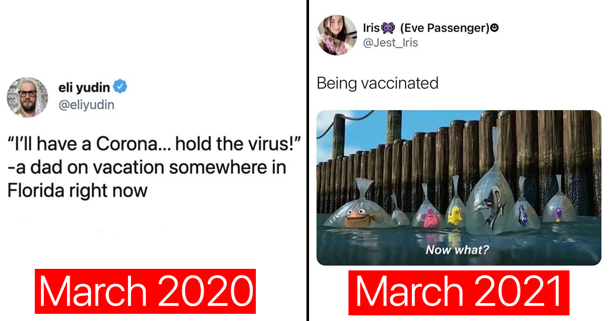 50+ Of The Greatest Memes From The Pandemic