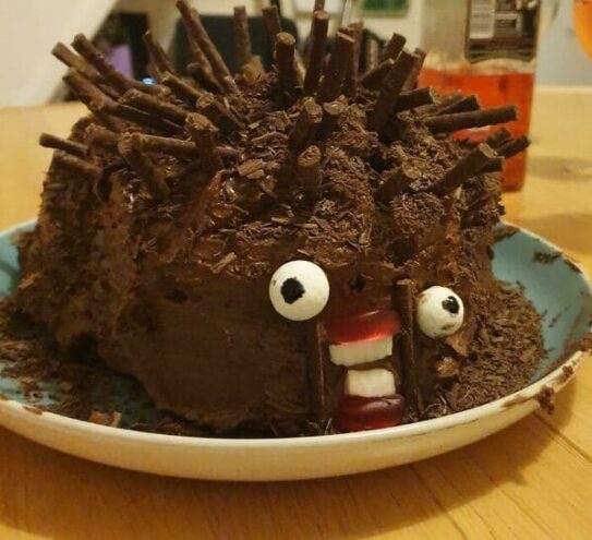 Can Anyone Actually Make A Hedgehog Cake Correctly? It Appears Not (25 ...