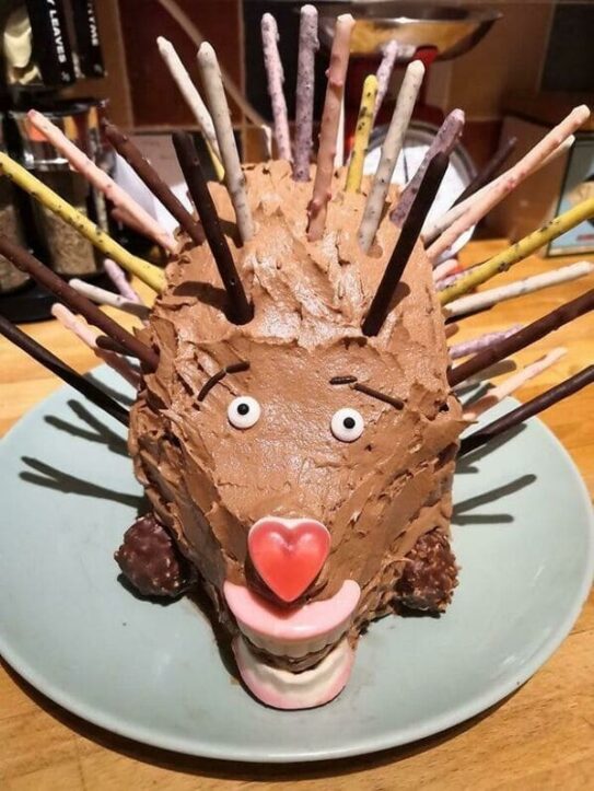 Can Anyone Actually Make A Hedgehog Cake Correctly? It Appears Not (25 ...