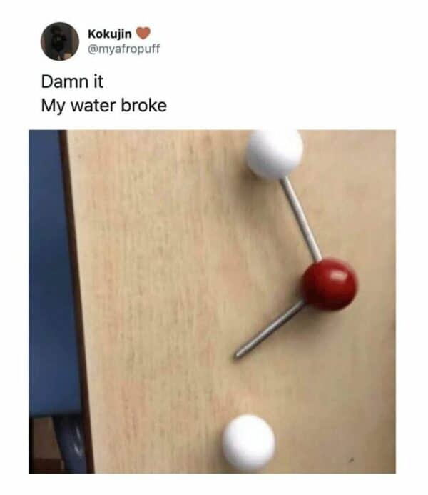 45 Funny Smart Memes You Don’t Have To Be The Smartest Person In The ...