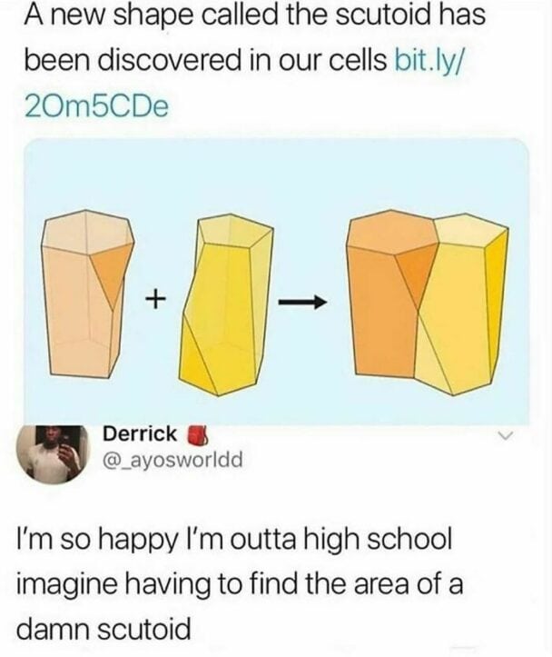 45 Funny Smart Memes You Don’t Have To Be The Smartest Person In The ...