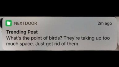30 Funny Nextdoor Posts That Will Make You Appreciate Having Sane Neighbors