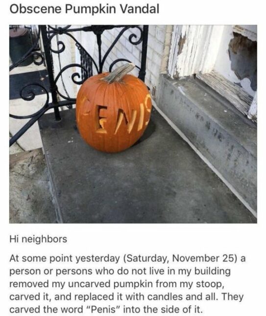 30 Funny Nextdoor Posts That Will Make You Appreciate Having Sane Neighbors