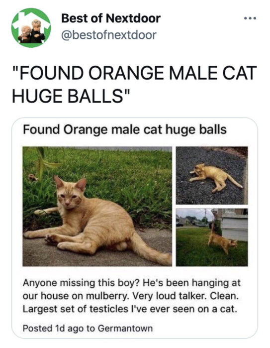 30 Funny Nextdoor Posts That Will Make You Appreciate Having Sane Neighbors