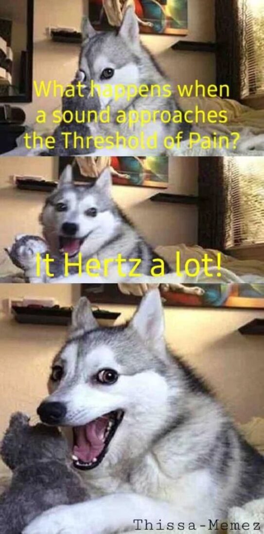 45 Funny Smart Memes You Don’t Have To Be The Smartest Person In The ...