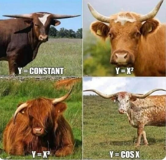 45 Funny Smart Memes You Don’t Have To Be The Smartest Person In The ...