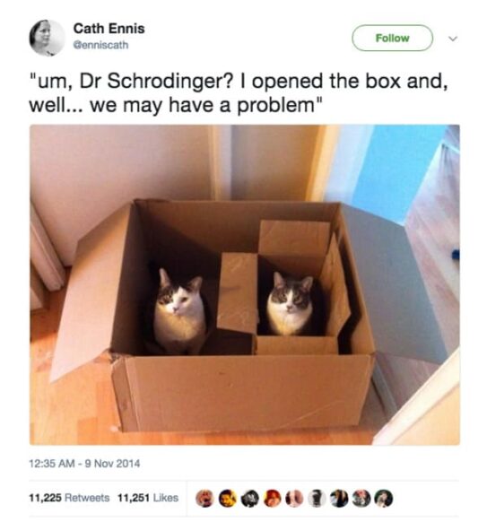 You Don’t Have To Be The Smartest Person In The Room To Laugh At These ...