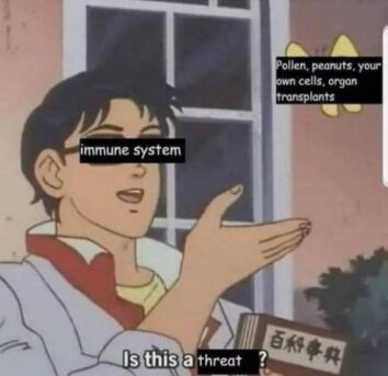 45 Funny Smart Memes You Don’t Have To Be The Smartest Person In The ...