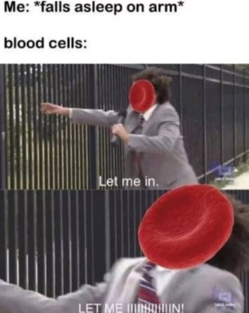 45 Funny Smart Memes You Don’t Have To Be The Smartest Person In The ...