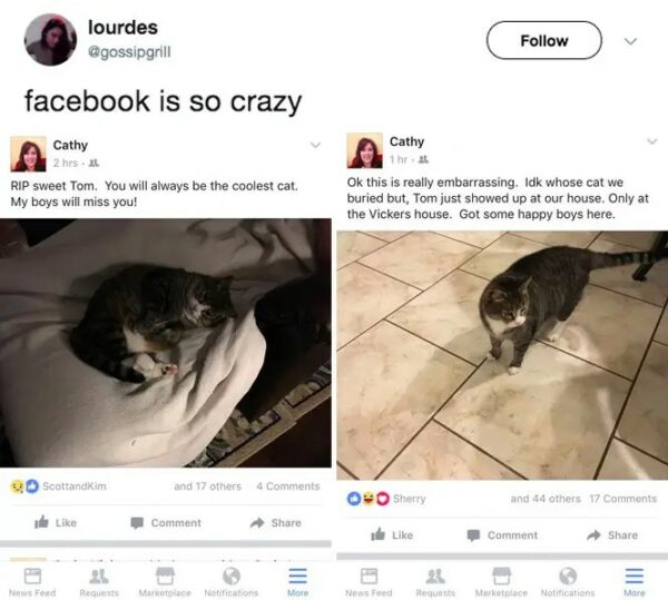 33 All-Time Funniest Facebook Posts Users Have Ever Seen