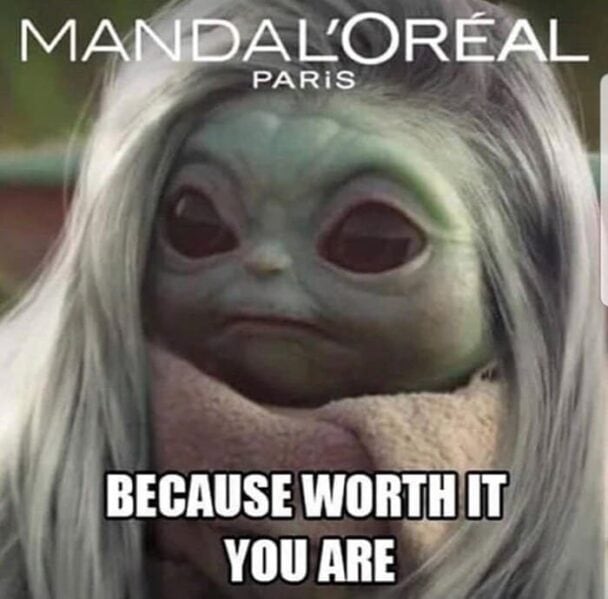 25 Mandalorian Memes That Prove When Mando Says "This Is The Way" He's ...
