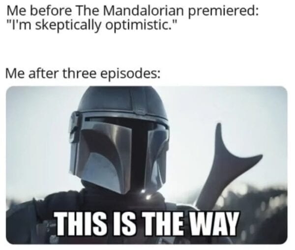 25 Mandalorian Memes That Prove When Mando Says "This Is The Way" He's ...