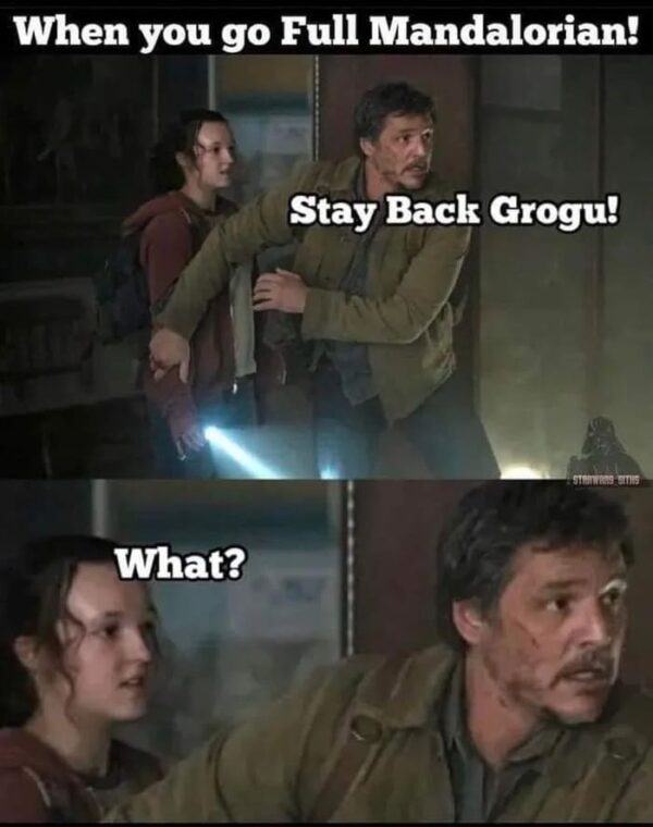 25 Mandalorian Memes That Prove When Mando Says "This Is The Way" He's ...