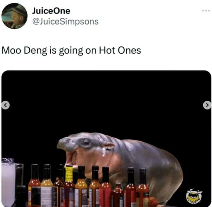 23 Moo Deng Memes That Capture The Drama And Sass Of This Internet Icon