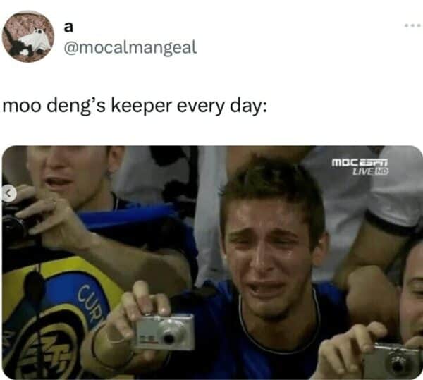 23 Moo Deng Memes That Capture The Drama And Sass Of This Internet Icon