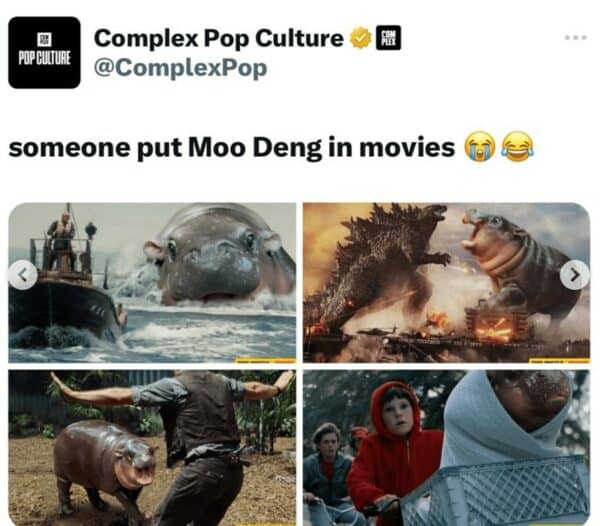 23 Moo Deng Memes That Capture The Drama And Sass Of This Internet Icon