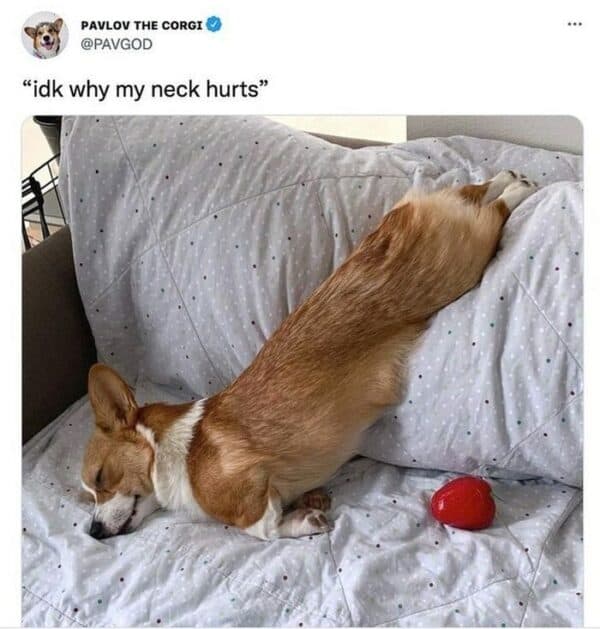 44 Cleaning Memes Are Safe for Work and Still So Funny