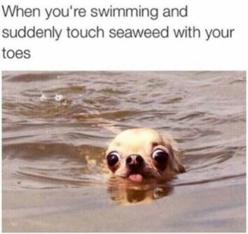 40+ Cleaning Memes Are Safe for Work and Still So Funny