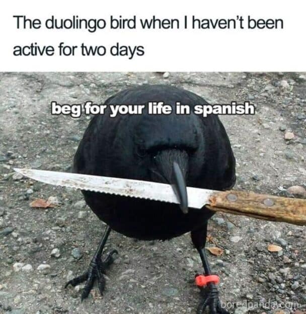 40+ Cleaning Memes Are Safe for Work and Still So Funny