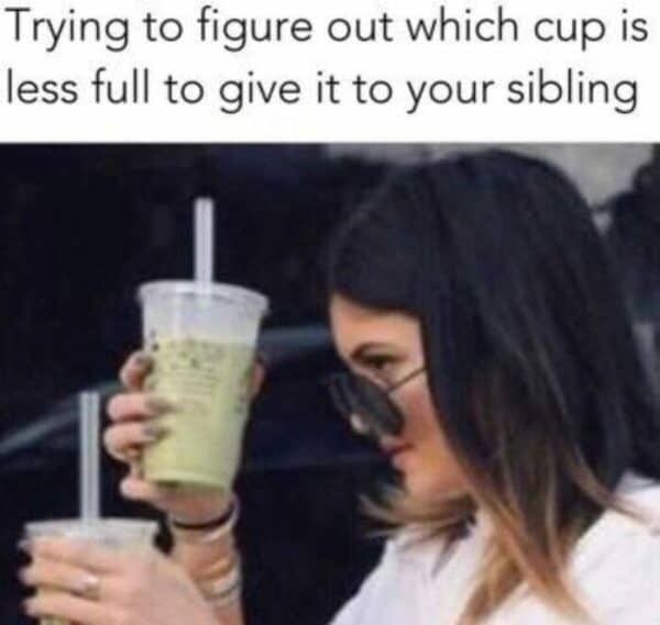 44 Cleaning Memes Are Safe for Work and Still So Funny