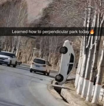 These 36 Funny Driving Memes Are The Detour You Didn’t Know You Needed