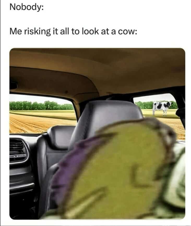 These 36 Funny Driving Memes Are The Detour You Didn’t Know You Needed