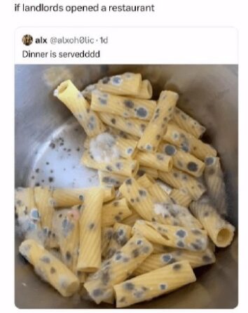 23 Funny Cooking Memes For The Culinarily Challenged